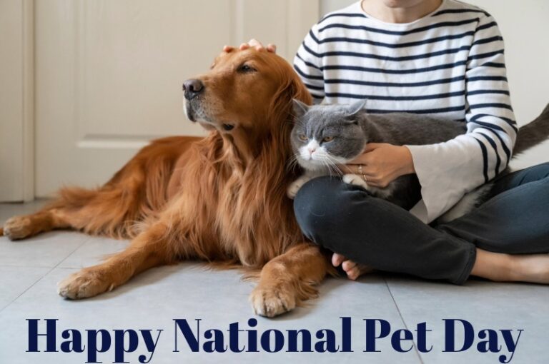 Celebrate National Pet Day with VetStem Cell Therapy