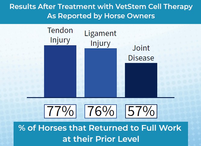 National Farriers Week: Shoeing and Stem Cells for Sound Horses